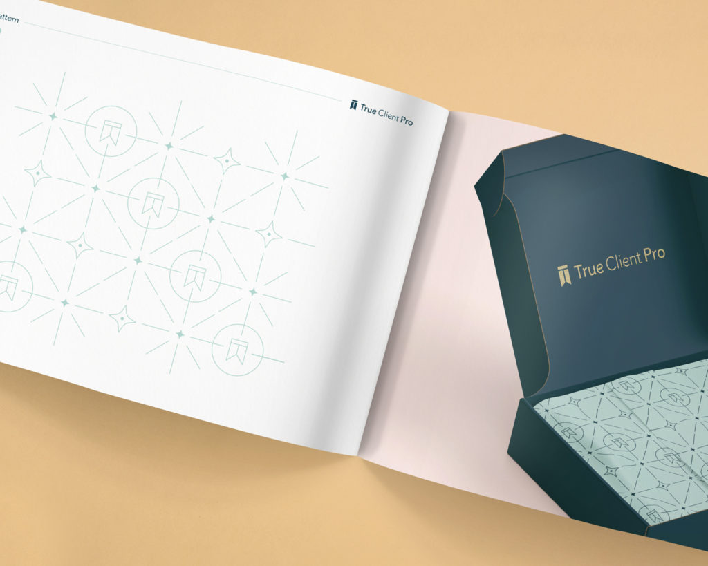 The Power of Brand Strategy | Client Work: True Client Pro | Sung and Co