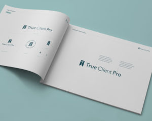 The Power of Brand Strategy | Client Work: True Client Pro | Sung and Co