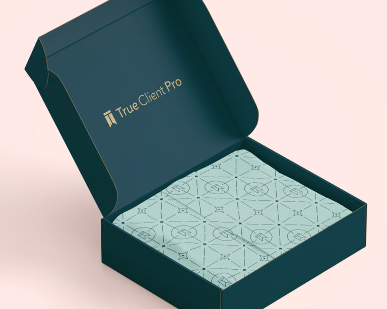 The Power of Brand Strategy | Client Work: True Client Pro | Sung and Co